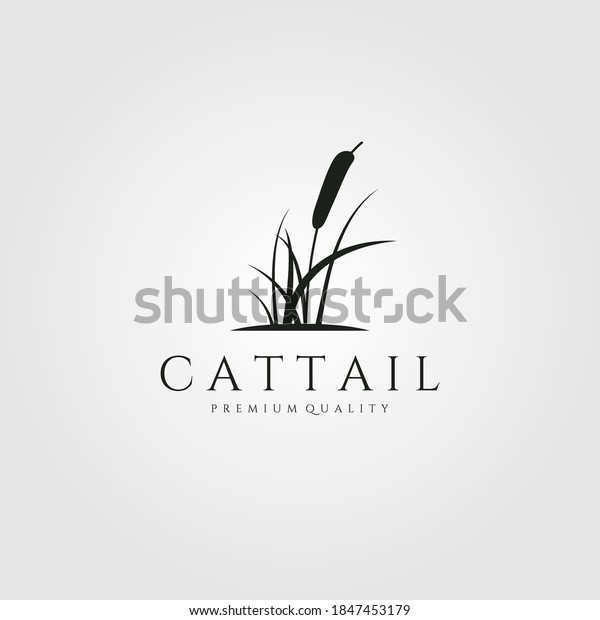 Cattail Premium Logo Vector Illustration Design Stock Vector (Royalty ...