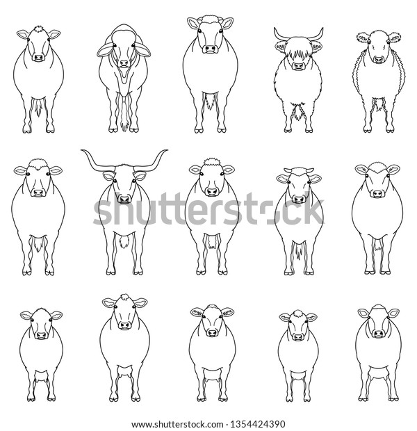 Cattle Line Arts Set Stock Vector (Royalty Free) 1354424390