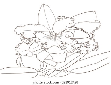 Cattleya Orchid Flower Drawing Vector 스톡 벡터(로열티 프리) 321912428 ...