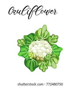 Cauliflower Icon Isolated Object Cauliflower Logo Stock Vector (Royalty ...