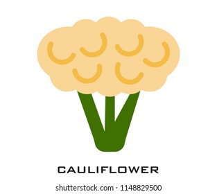 Cauliflower Icon Signs Stock Vector (Royalty Free) 1148829500 ...