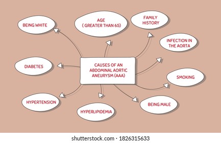 Causes Abdominal Aortic Aneurysm Aaa Vector Stock Vector (Royalty Free ...