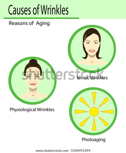 Causes Aging Vector Illustration Reasons Aging Stock Vector (Royalty ...