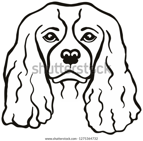 Cavalier King Charles Head Black Stock Vector (Royalty Free) 1275364732 ...
