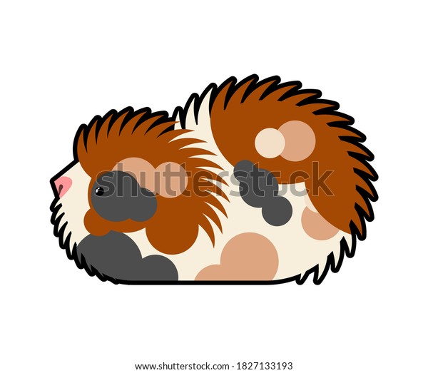 Cavy Isolated Guinea Pig Cartoon Vector Stock Vector (Royalty Free ...