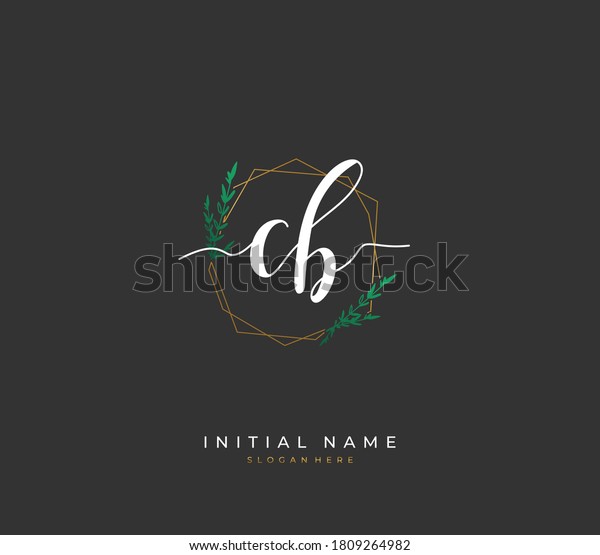 Cb Letter Handwritten Identity Logo Vector Stock Vector (Royalty Free ...