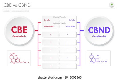 Cbe Vs Cbnd Cannabielsoin Vs Cannabinodiol Stock Vector (Royalty Free ...