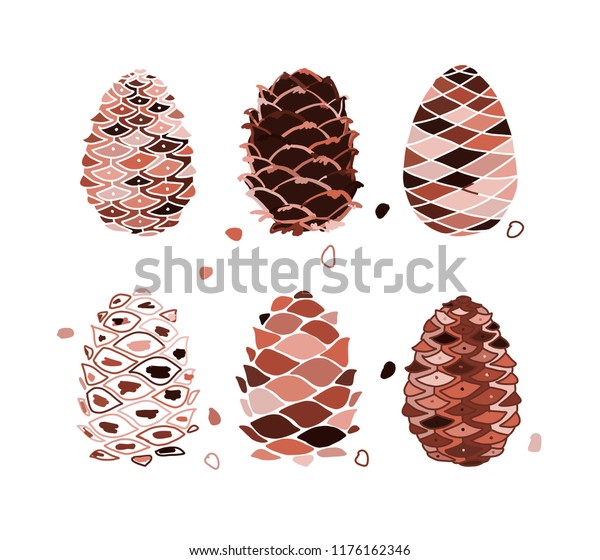 Cedar Cone Set Sketch Your Design Stock Vector (Royalty Free) 1176162346