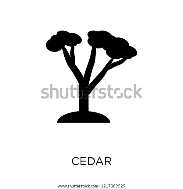 Cedar Icon Cedar Symbol Design Nature Stock Vector (Royalty Free ...