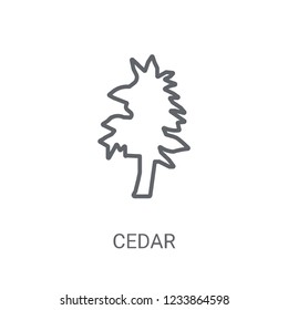 Cedar Icon Trendy Cedar Logo Concept Stock Vector (Royalty Free ...