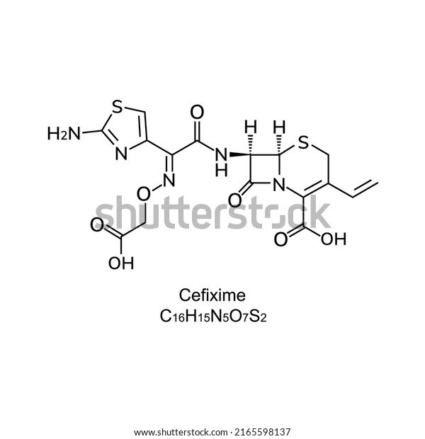 Cefixime Structural Chemical Formula On White: เวกเตอร์สต็อก (ปลอดค่า ...