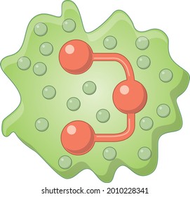 Cell Figure Journal Paper Stock Vector (Royalty Free) 2010228341 ...