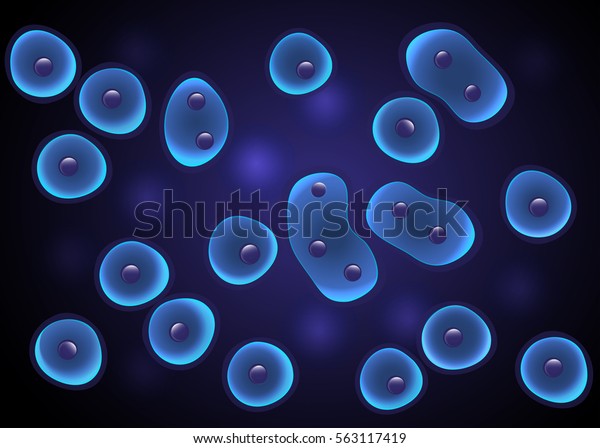 Cells Culture Background Blue Cell Division Stock Vector (Royalty Free ...