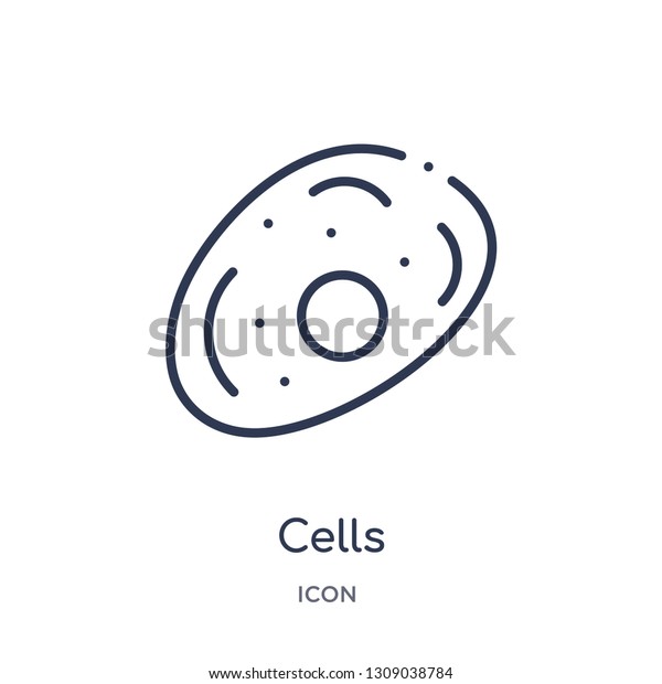 Cells Icon Science Outline Collection Thin Stock Vector (Royalty Free ...