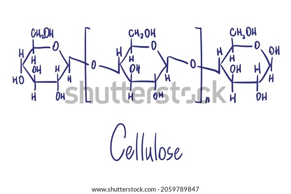 Cellulose Chemical Structure Vector Illustration Hand Stock Vector ...
