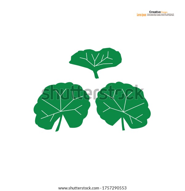 Centella Asiatica Icon On White Backgroundherbs Stock Vector (Royalty ...