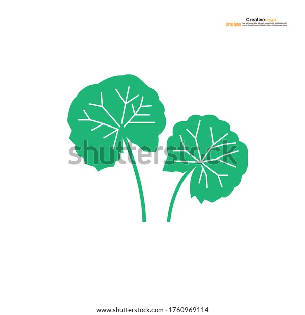 Centella Asiatica Icon On White Backgroundherbs Stock Vector (Royalty ...