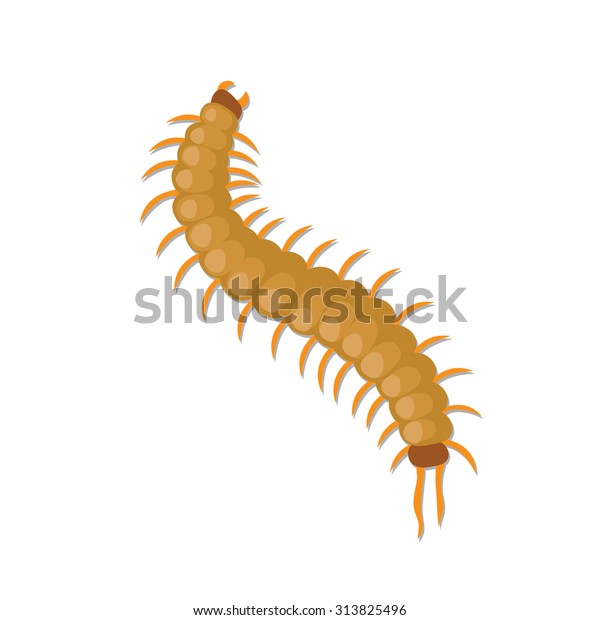 Centipede Cartoon Character Stock Vector (Royalty Free) 313825496 ...