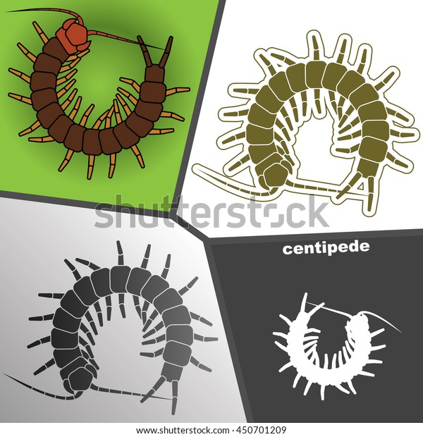 Centipede Four Different Versions Color Monochrome Stock Vector ...