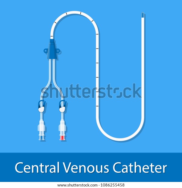 Central Venous Catheter Cvc Picc Line Stock Vector (Royalty Free ...