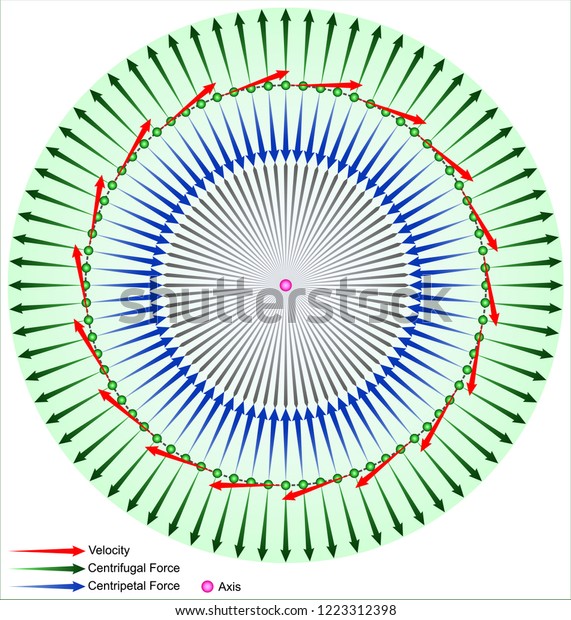 Centrifugal Force Centripetal Force: vector de stock (libre de regalías ...