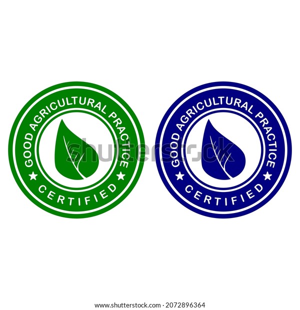 Certified Vector Logo Template Illustrationthis Logo Stock Vector ...
