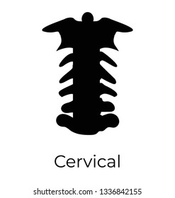 Cervical Glyph Vector Icon Stock Vector (Royalty Free) 1336842155 ...
