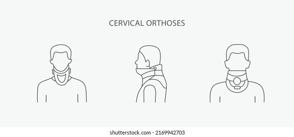 Orthosis cervical icono de vector lineal: vector de stock (libre de ...
