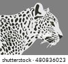 15,563 Leopard Outline Royalty-Free Images, Stock Photos & Pictures ...