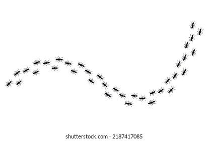 Chain Ants On Isolated White Background Stock Vector (Royalty Free ...