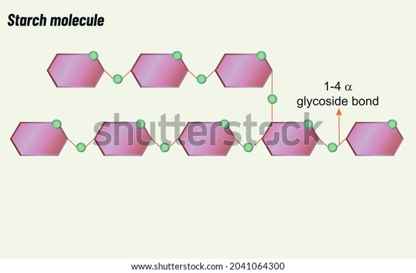 Chain Molecule Biology Shape Vector Stock Vector (Royalty Free ...