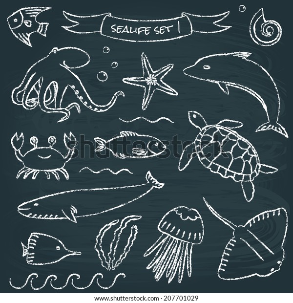 Chalkboard Collection Hand Drawn Sea Animals Stock Vector (Royalty Free ...