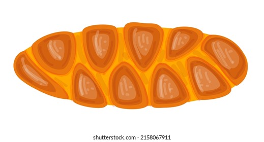 Challah Bread Cartoon Style Isolated On Stock Vector (Royalty Free ...