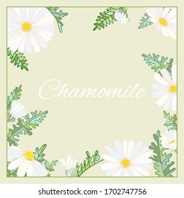Chamomile Leaves Flowers Frame Graphics Vector Stock Vector (Royalty ...