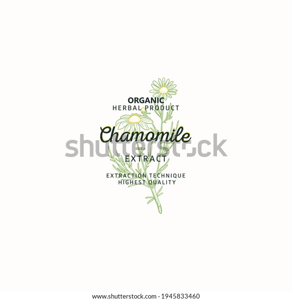 Chamomile Symbol Natural Logo Vector Brand Stock Vector (Royalty Free ...