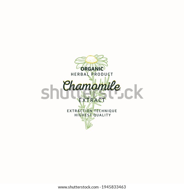 Chamomile Symbol Natural Logo Vector Brand Stock Vector (Royalty Free ...