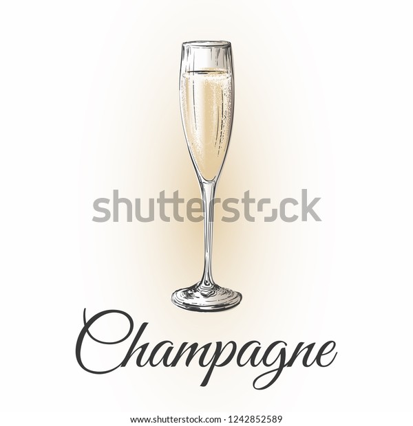 Champagne Glass Hand Drawing Vector Illustration: vetor stock (livre de ...