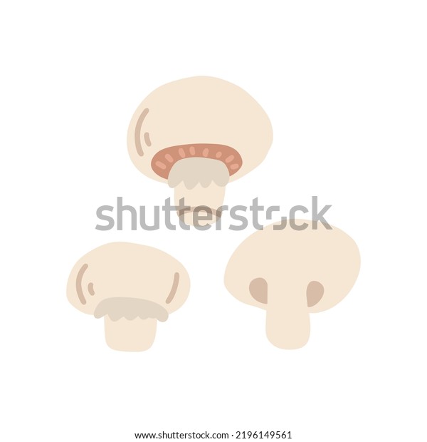 Champignons Vector Flat Illustration On White Stock Vector (Royalty ...