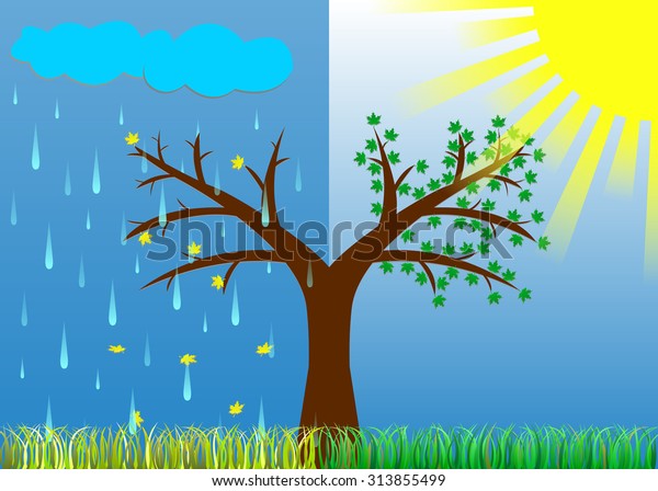 Change Seasons Summer Autumn Tree Grass Stock Vector (Royalty Free ...