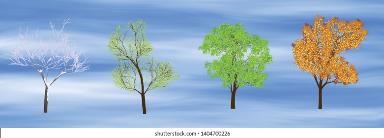 Change Seasons Trees According 4 Seasons Stock Vector (Royalty Free) 1404700226