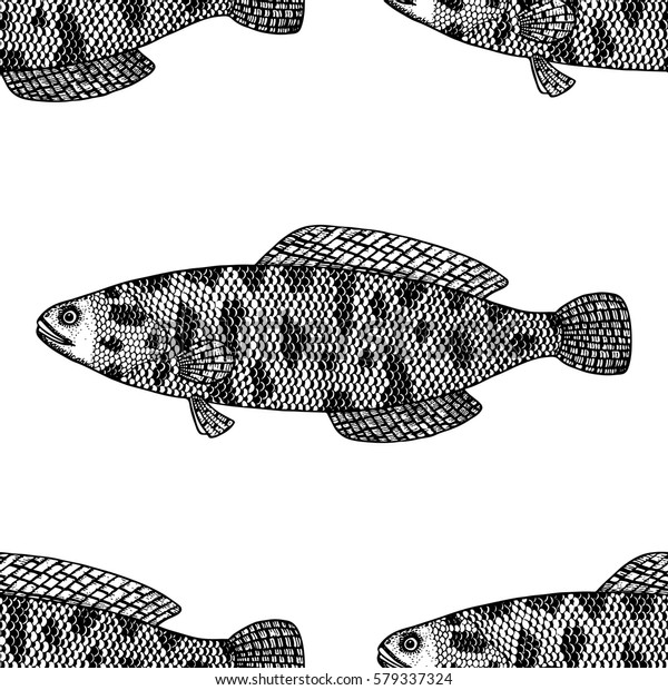 Channa Argus Pattern Stock Vector (Royalty Free) 579337324 | Shutterstock
