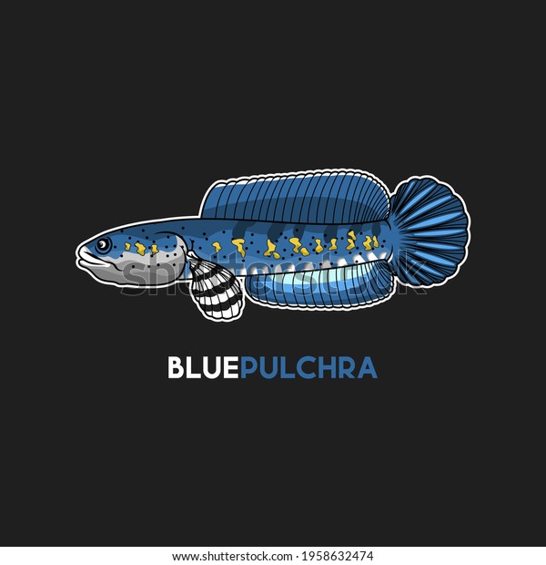 Channa Blue Pulchra Predator Snakehead: vector de stock (libre de ...