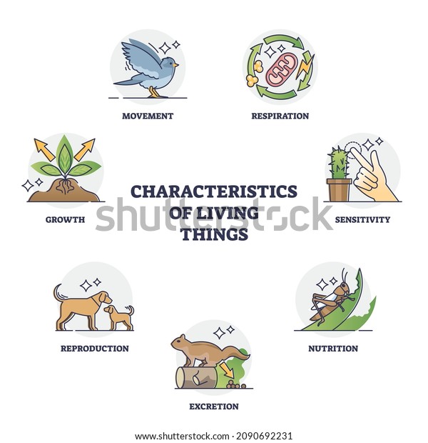 Characteristics Living Things Their Recognition Groups Stock Vector ...