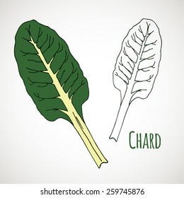 542 Chard drawing Images, Stock Photos & Vectors | Shutterstock