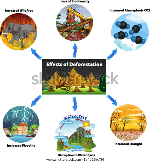 Chart Showing Effects Deforestation Illustration Stock Vector (Royalty ...