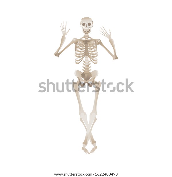 Cheerful Skeleton Dancing Pose Halloween Other Stock Vector (Royalty ...