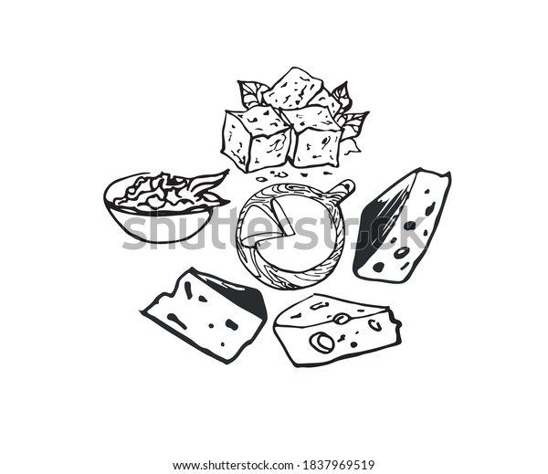 Cheese Design Template Hand Drawn Vector Stock Vector (Royalty Free ...
