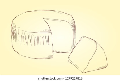 Cheese Hand Drawing Vector Stock Vector (Royalty Free) 1279219816 ...