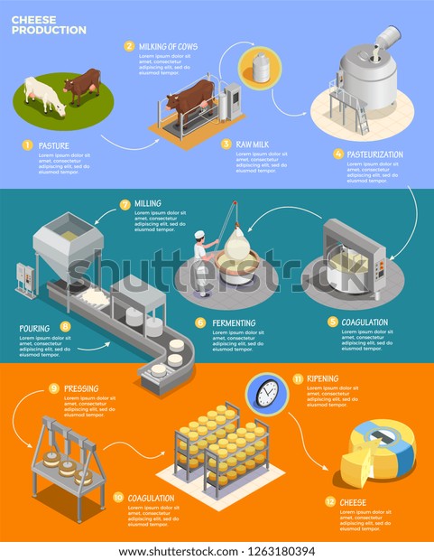 Cheese Production Isometric Infographics Layout Eleven Stock Vector ...