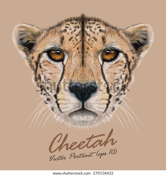 Cheetah Animal Cute Face Vector African Stock Vector (Royalty Free ...